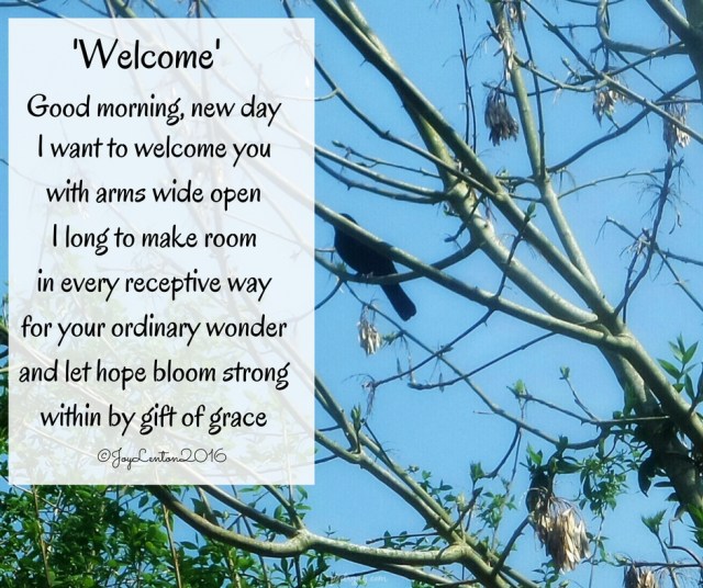 Welcome Greetings Poems Welcome To The World Poem Greeting Card