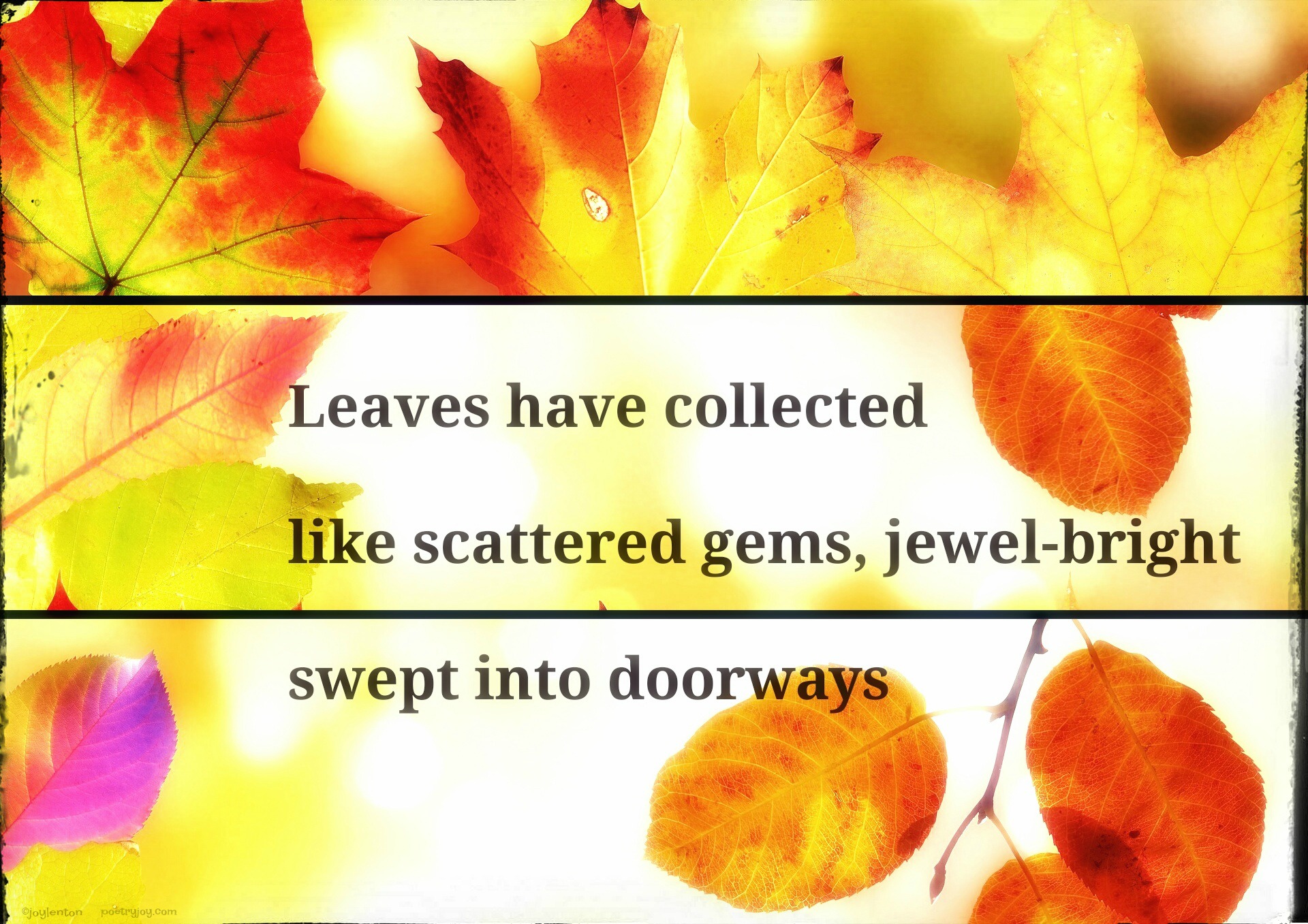 gems: nature’s beauty swept into doorways #thedailyhaiku 4 | Poetry Joy