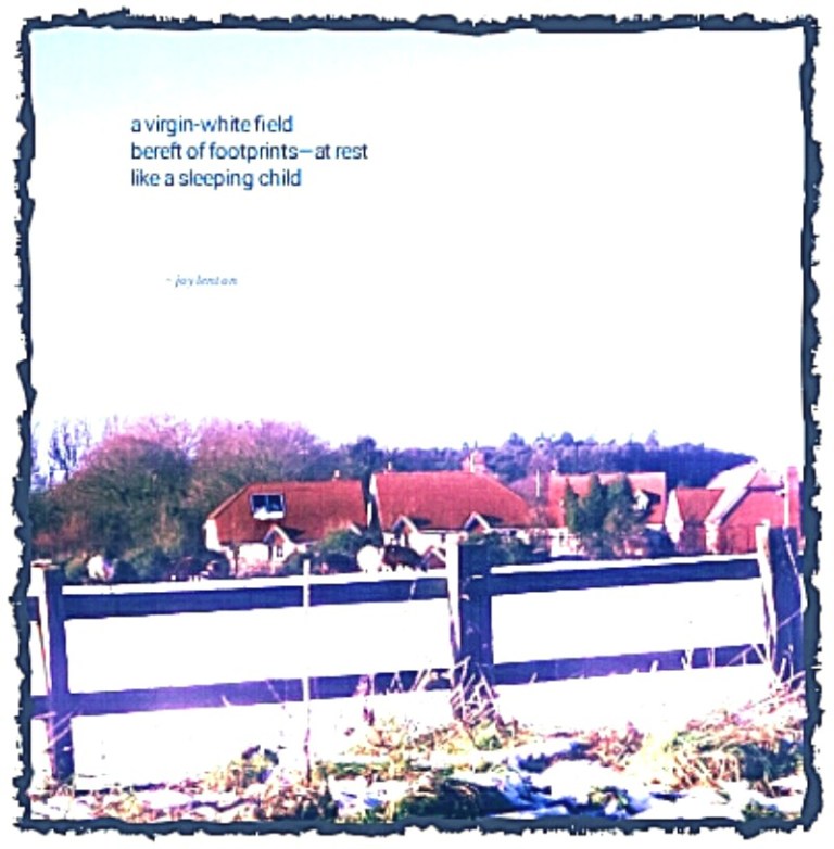 haiku | Poetry Joy
