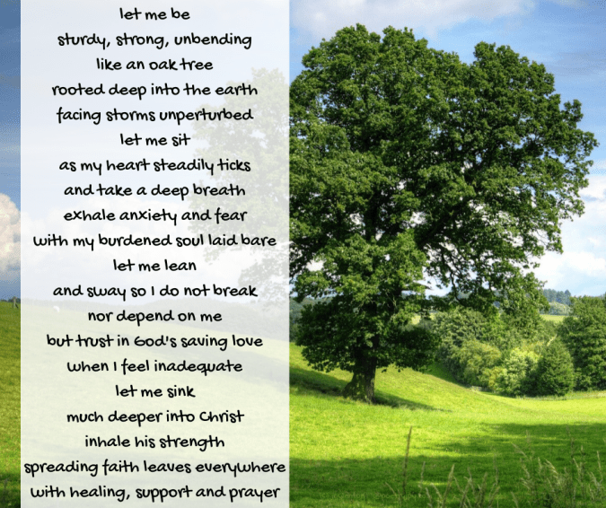 oak – like an oak tree poem excerpt – let me be sturdy, strong ...