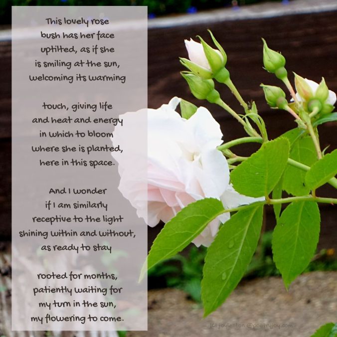 poetry | Poetry Joy