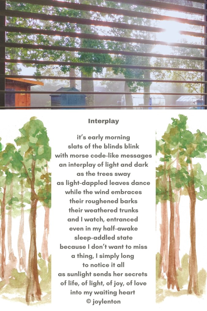 Poetry Joy | sensing the sacred in the everyday