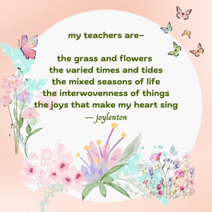 Poetry Joy | sensing the sacred in the everyday